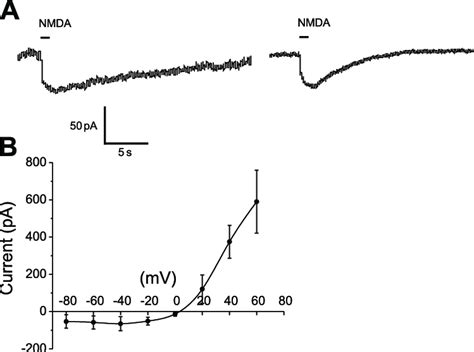 Nmda Evoked Currents From Podocytes In Primary Cell Culture Whole Cell