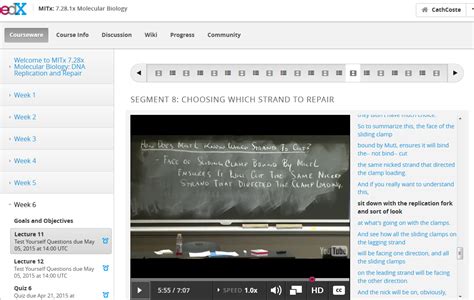 Genomic Entertainment DNA Replication Repair