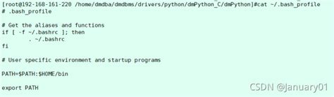达梦数据库的dmpython的基本使用介绍 dmpython dictcursor csdn博客