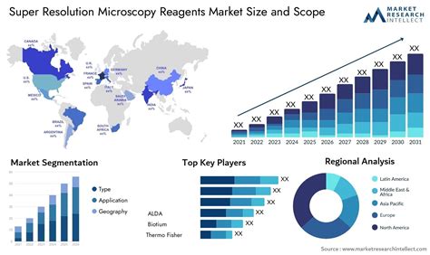 global super resolution microscopy reagents market size trends and
