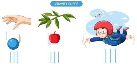 Gravity Questions Answers For Quizzes And Tests Quizizz