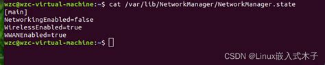 虚拟机ubuntu18 04开机后没有网络的解决办法 18 04 启动无网络 csdn博客