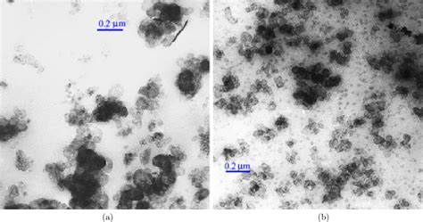 Figure 1 From Large Strain Time Dependent Behavior Of Filled Elastomers