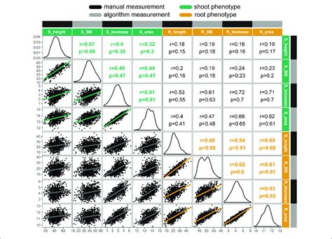 Correlation Matrix Of Selected Manual And Algorithm Measurements In Download Scientific