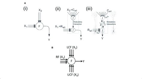 coherent infomax vs contextually adaptive neural processor a