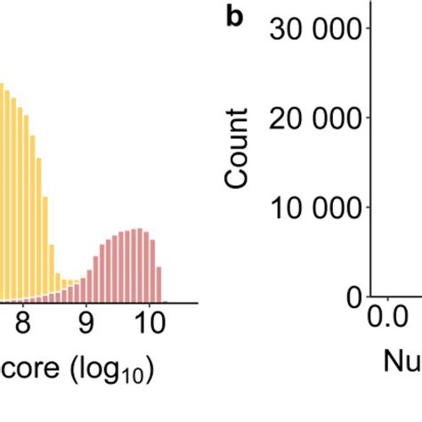 Initial Conditions For All Simulations Download Scientific Diagram