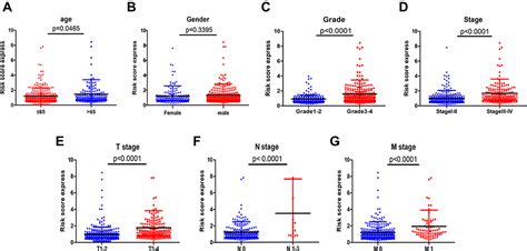 A Seven Autophagy Related Long Non Coding Rna Signature Ijgm