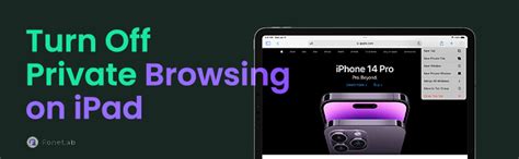 How To Turn Off Private Browsing On Ipad [ultimate Guide]