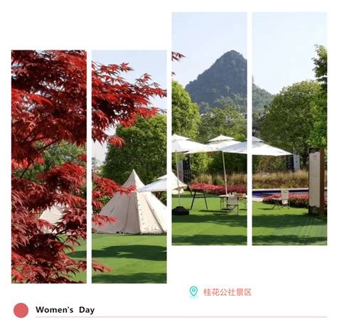 桂花公社三月活动预告 花young绽放 不负春光桂林旅游文化