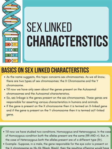 sex link characters updated pdf dominance genetics zygosity