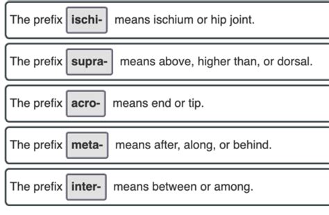 A P Chapter 7 Flashcards Quizlet