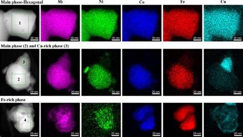 Stem Images And Their Corresponding Edx Maps Of Individual Nps Of The