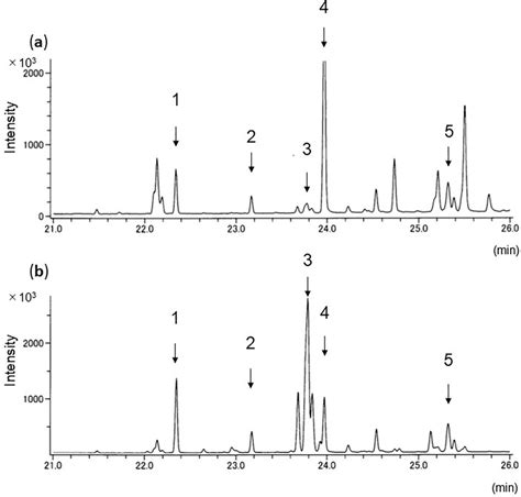 Total Ion Chromatogram Of GC MS Profiles Of Hydrocarbons Of A Bungii Download Scientific