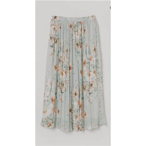 H M Skirts Hm Pleated Skirt Poshmark