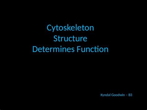 Pptx Cytoskeleton Structure Determines Function Dokumentips