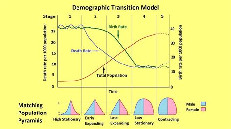 Demographic Transition Shown In Age Structure Diagram More T