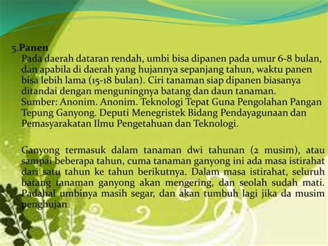 Budidaya Tanaman Ganyong Pptx