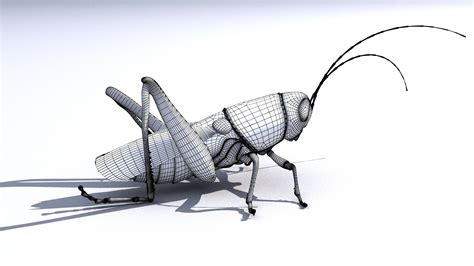 Grasshopper Animation Rigged 3d Model Turbosquid 1366774