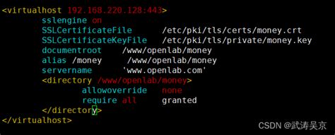 openlab搭建web网站 csdn博客