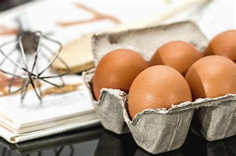 무료 사진 달걀 닭고기 골 판지 주방 식품 믹서 레시피