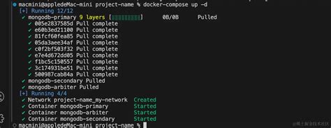 基于docker compose构建mongodb副本集mongodb 副本集是一组维护相同数据集的 mongodb 服 掘金