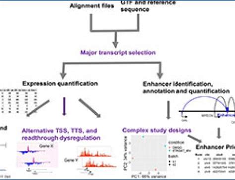 Scode An Efficient Regulatory Network Inference Algorithm From Single Cell Rna Seq During