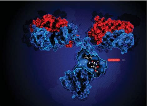 Is The Multi Attribute Method Mam The Next Big Thing Analyteguru