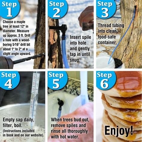 Sugar Sugar Because Maple Tapping Season Is Here Raise Your Garden