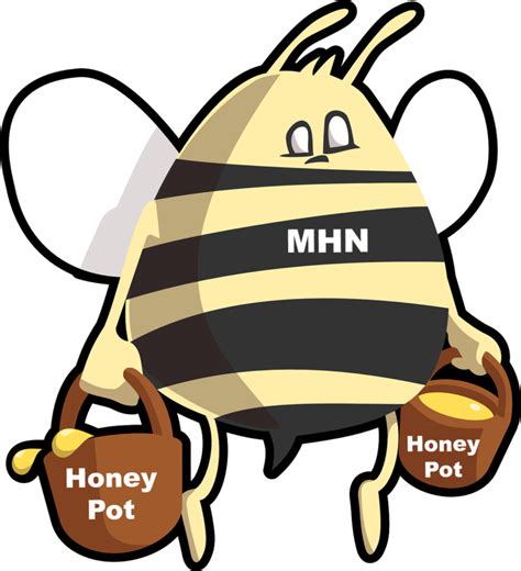 Modern Honey Network Detection Through Deception