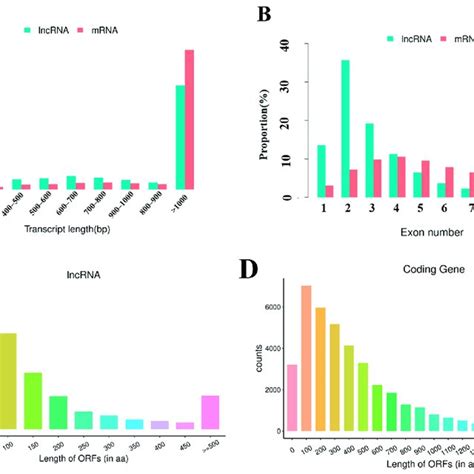 Genomic Features Of Lncrnas In Mouse Spleens A The Transcript Length