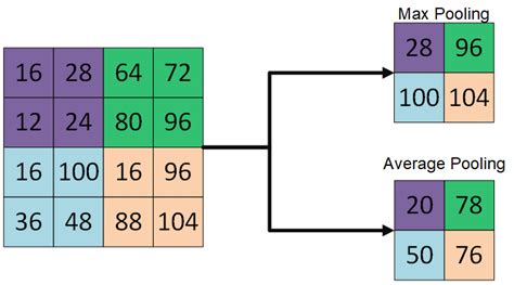 Example Of Down Sampling Operation Using Max Pooling And Average