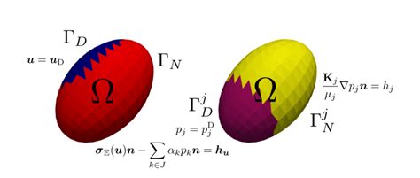 A Domain Ω With Associated Boundary Conditions For Both The