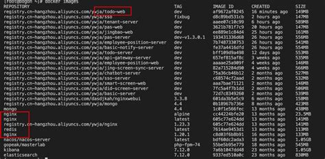 Docker Build Segmentfault