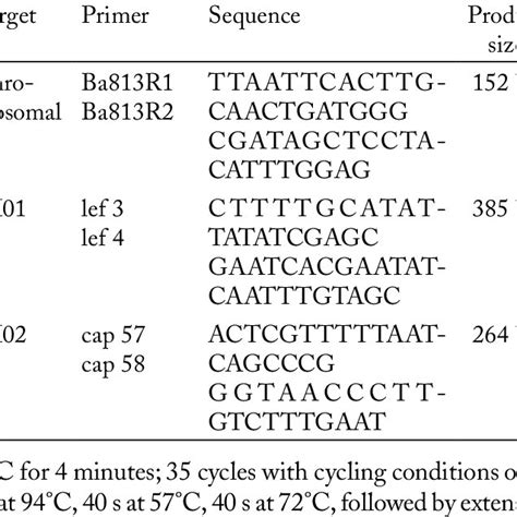 List Of Oligonucleotide Used For Pcr Assay Download Scientific Diagram