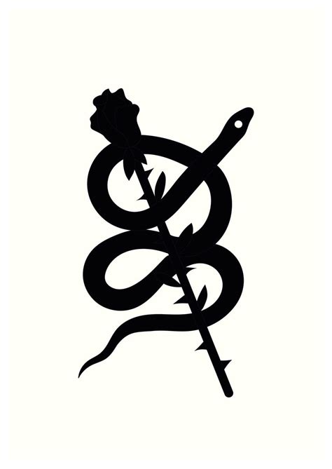 Rose By Juan Sebastián Rosillo Drool