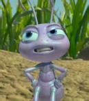 Bugs Life Franchise Characters Behind The Voice Actors