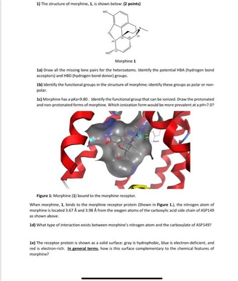 1 The Structure Of Morphine 1 Is Shown Below 2