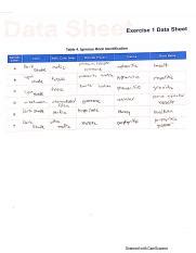 Igneous Rock Identification Lab Pdf Course Hero
