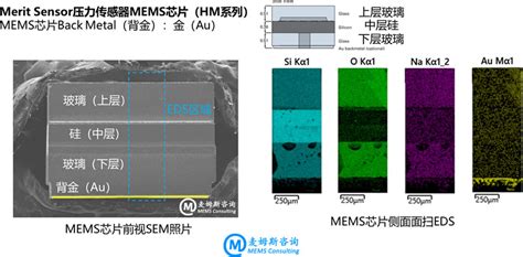《merit Sensor压力传感器（tr系列）及mems芯片（hm系列）产品分析》 Mems器件拆解和成本分析 微迷：专业mems