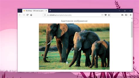 Bootstrap Css классы для изображений ИТ Шеф