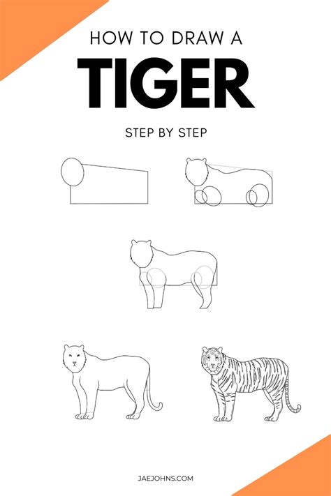 How To Draw A Realistic Tiger 5 Easy Steps Jae Johns