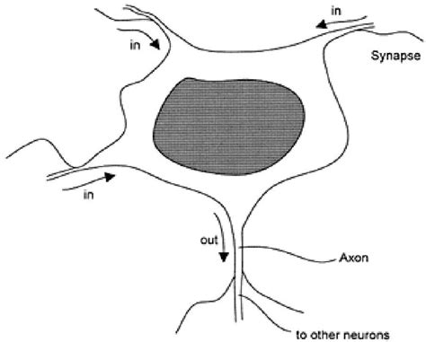 A Structure Of A Neuron It Has Many Inputs In And One Output Out
