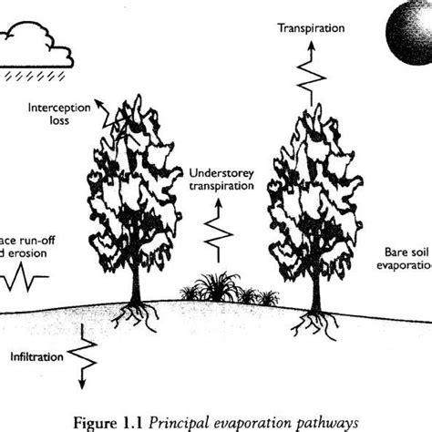 Hortons Illustration Of The Hydrologic Cycle Source Horton 1931