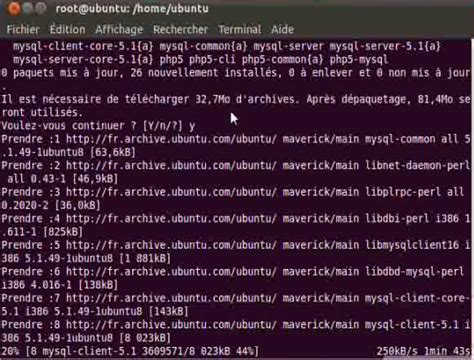 Installer Un Serveur Web Sur Linux Avec Lamp Tutoriel