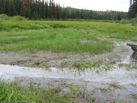 Mud Puddle Visuals S Link