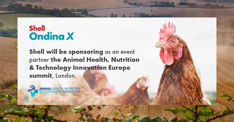 Nasir Qamaruddin Posted On Linkedin