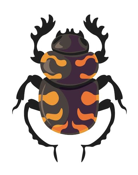 Premium Vector Insect Species And Types Isolated Bug Carrion Beetle With Legs And Pattern On Premium Vector Insect Species And Types Isolated Bug Carrion Beetle With Legs And Pattern On