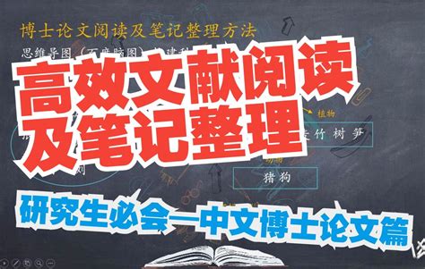 研究生必知必会！高效文献阅读及笔记整理—优秀博士论文实例解析篇！ 哔哩哔哩