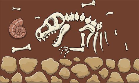 Cartoon Fossil Animals With Dinosaur Fish Bone And Shell 7098408
