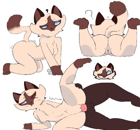 Rule 34 Anon Cat Ears Cat Tail Digital Media Digital Media Artwork Domestic Cat Female Focus